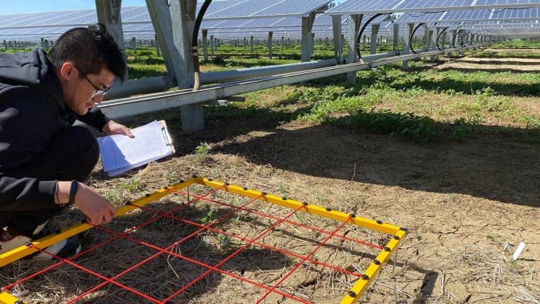 Shedding Light on Solar Panel Shade - Energy and Efficiency Institute